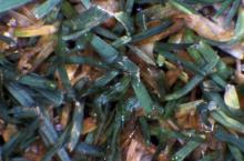 Lawn and Turf-Downy Mildew (Yellow Tuft) | Pacific Northwest Pest ...