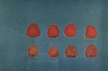 Raspberry (Rubus spp.)-Powdery Mildew | Pacific Northwest Pest ...